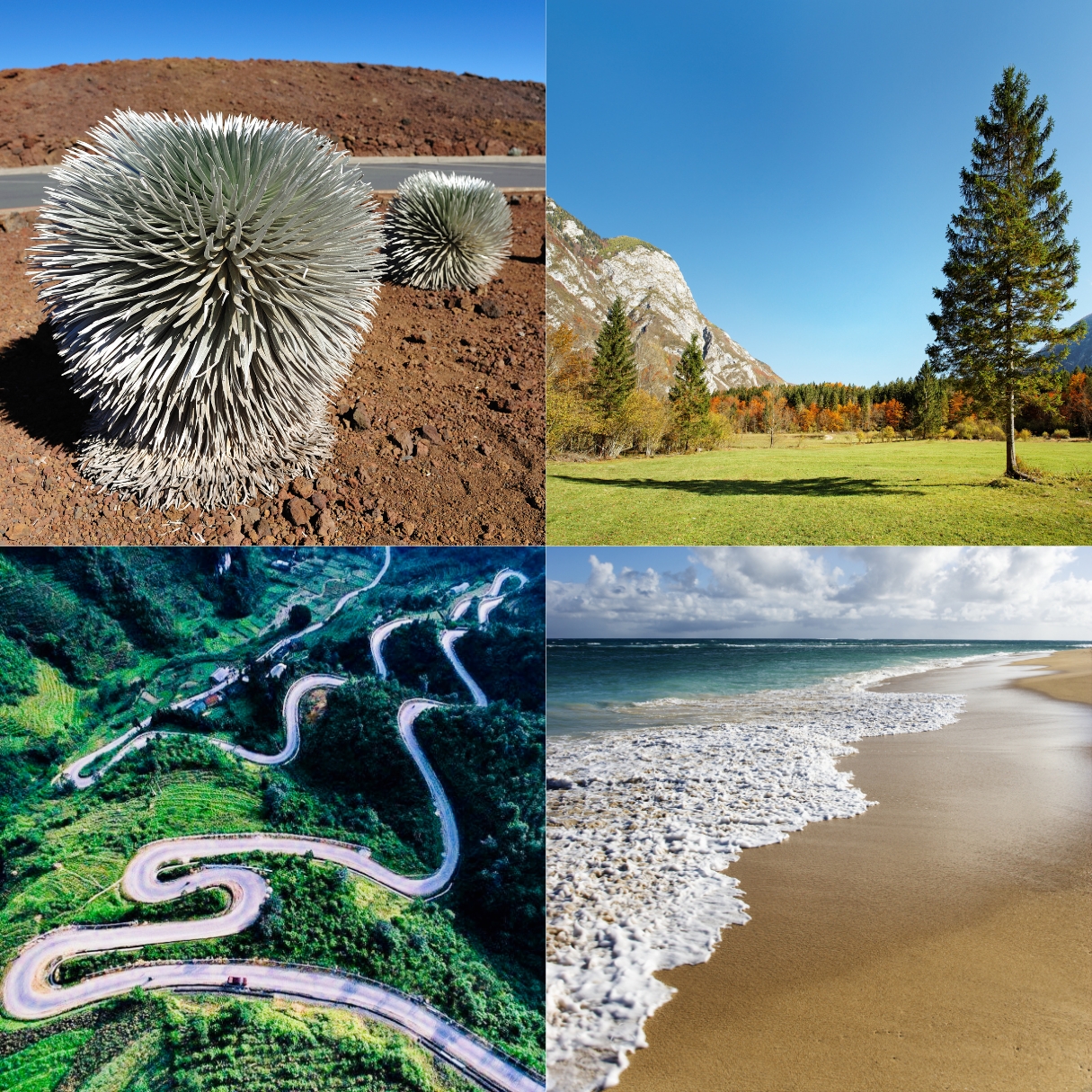 Outdoor Adventures and Nature: Your Guide to Unforgettable Fun - R ...